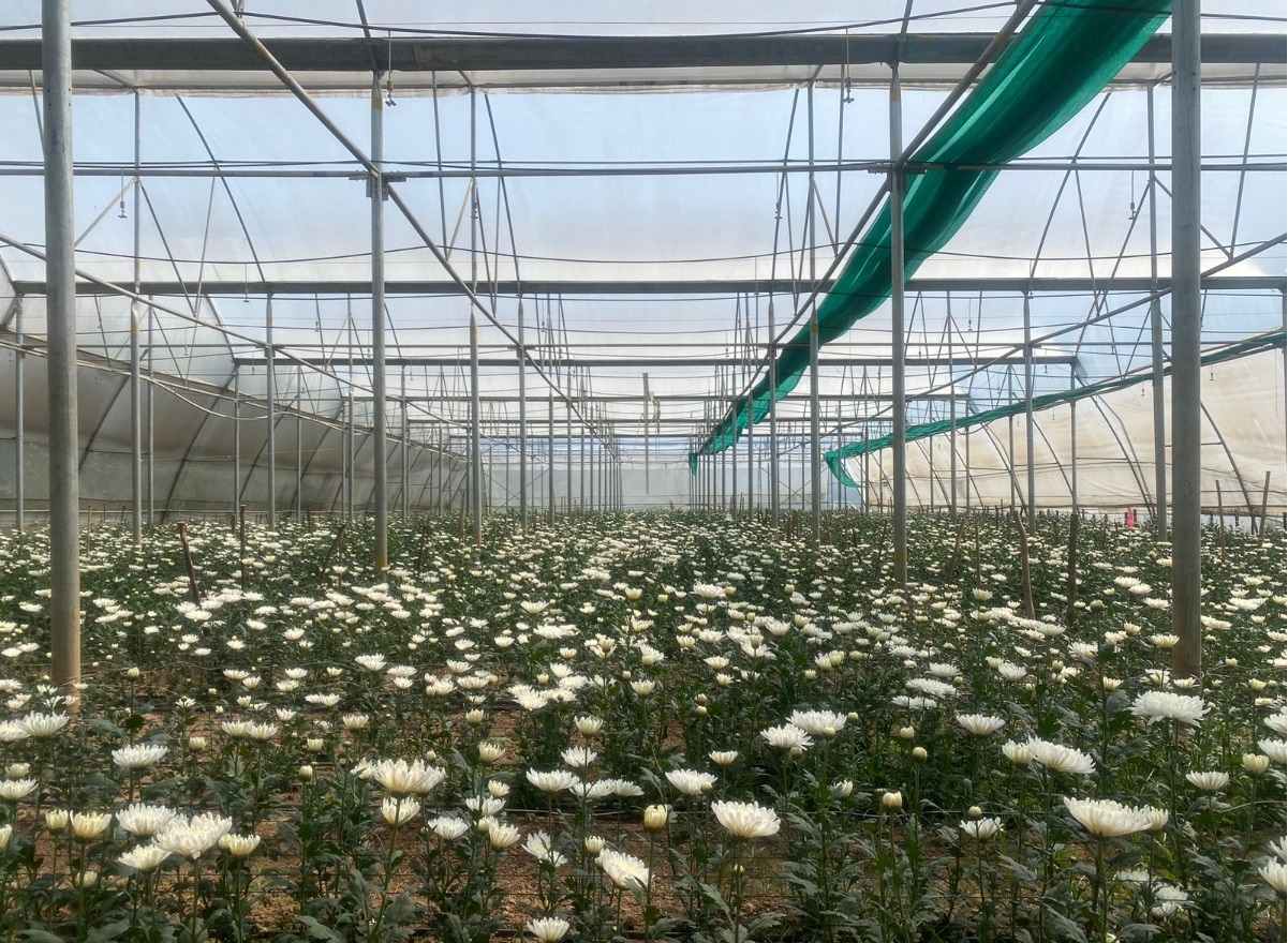 Dr YS Parmar University of Horticulture & Forestry