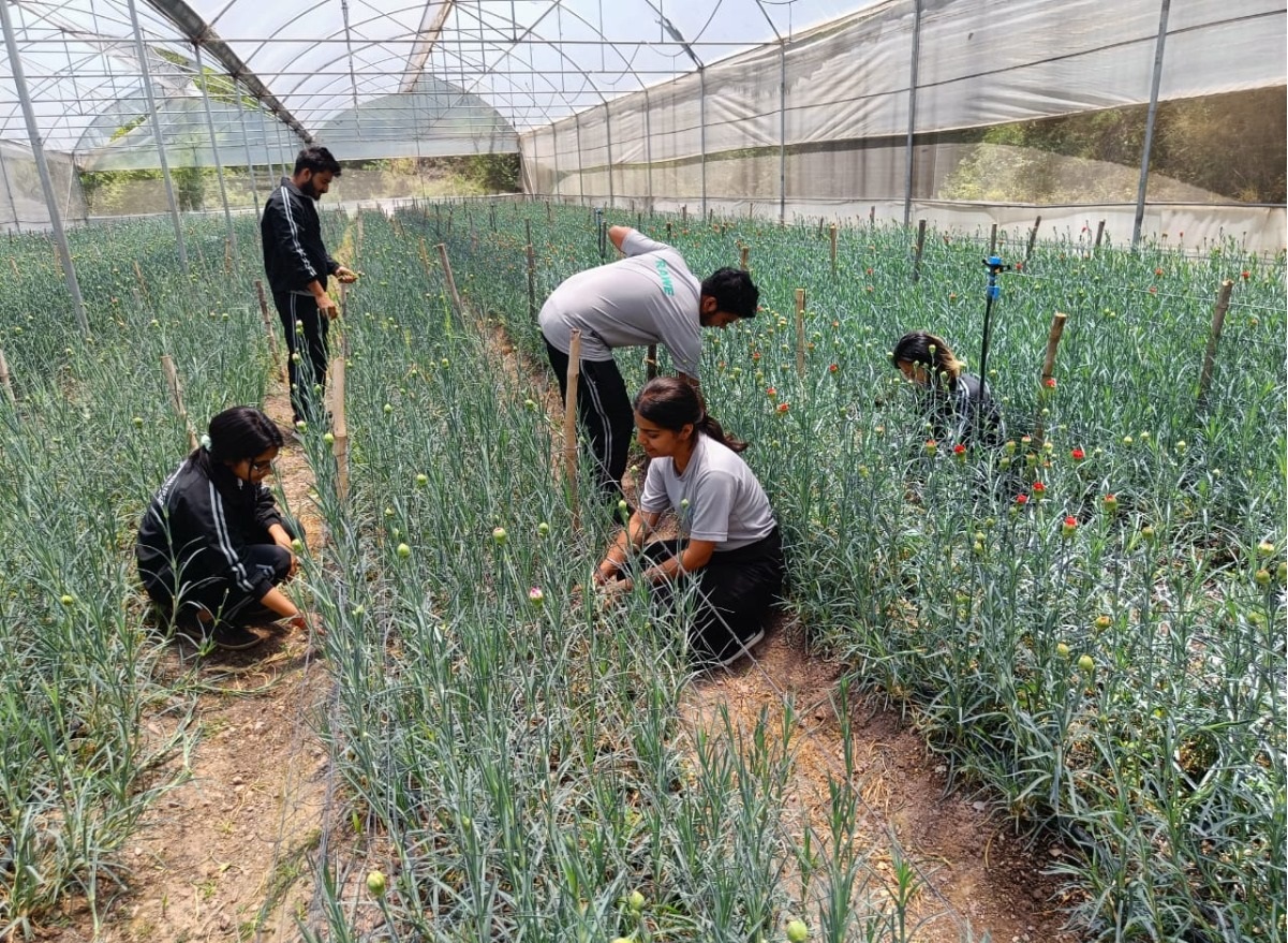 Dr YS Parmar University of Horticulture & Forestry